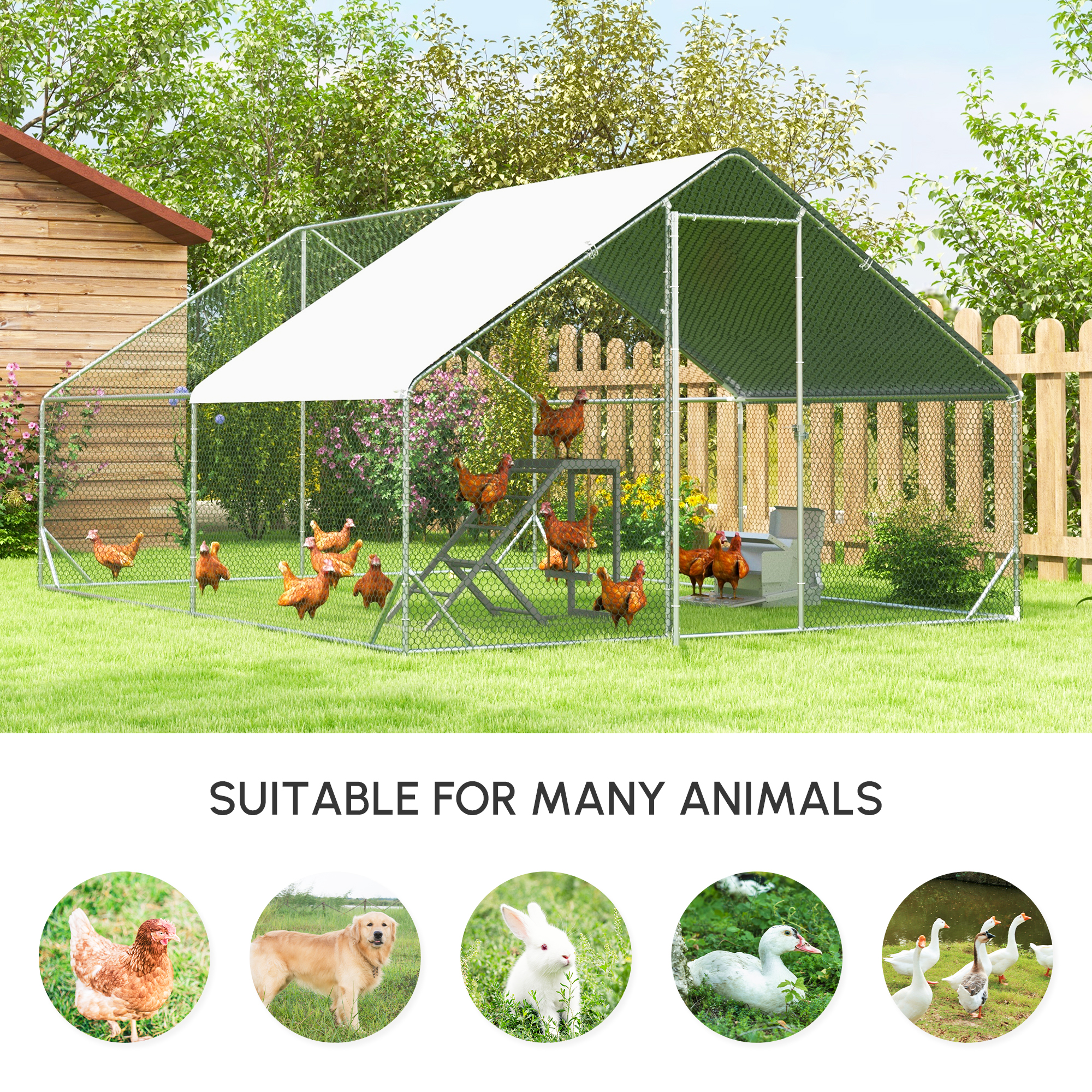 Chicken Walk In Run Galvanised Chicken Coop Hen Poultry Aod51 - Kuiwee.com