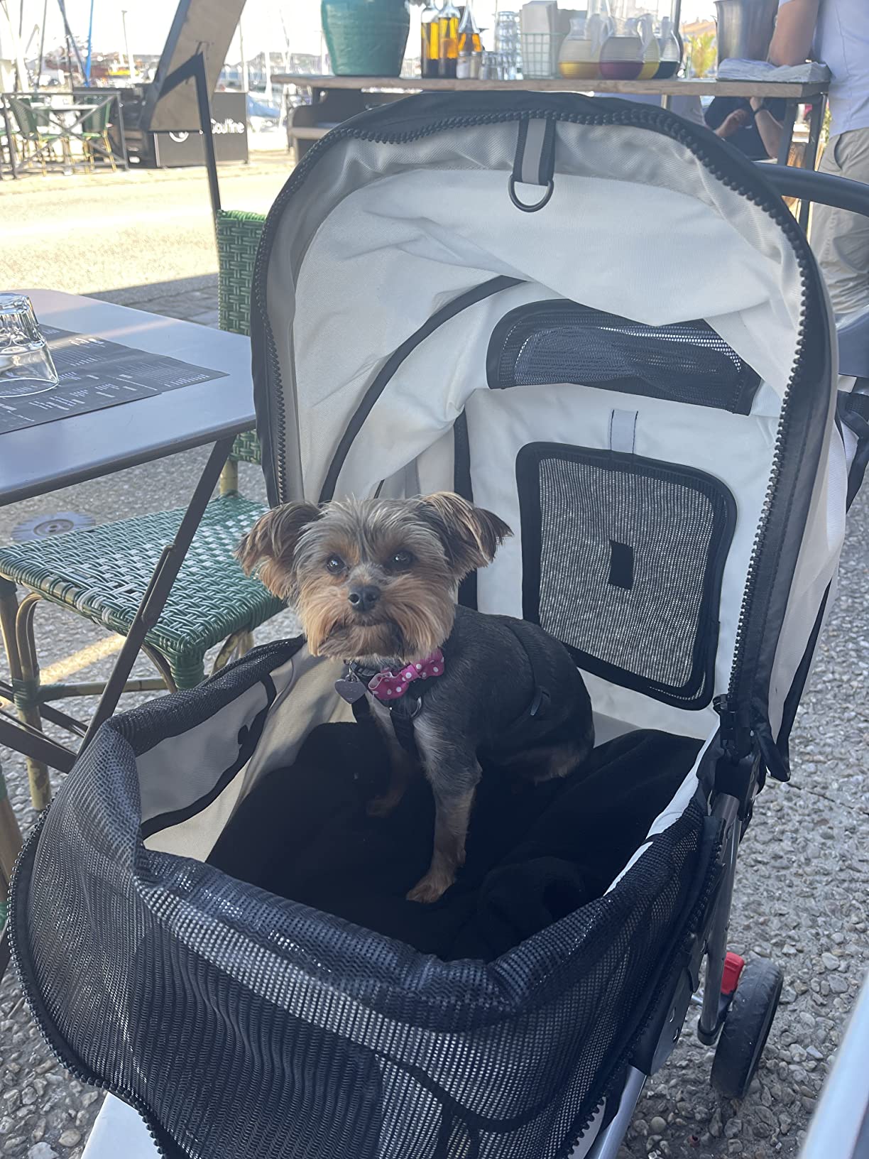 PawHut Dog Pram Pet Stroller Dog Pushchair Trolley Puppy Jogger Folding ...