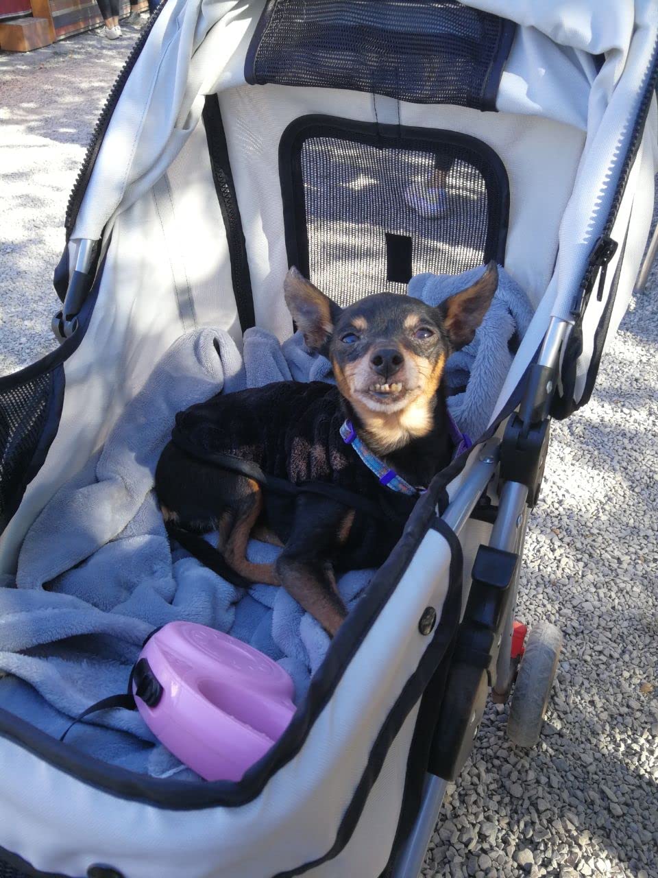 PawHut Dog Pram Pet Stroller Dog Pushchair Trolley Puppy Jogger Folding ...