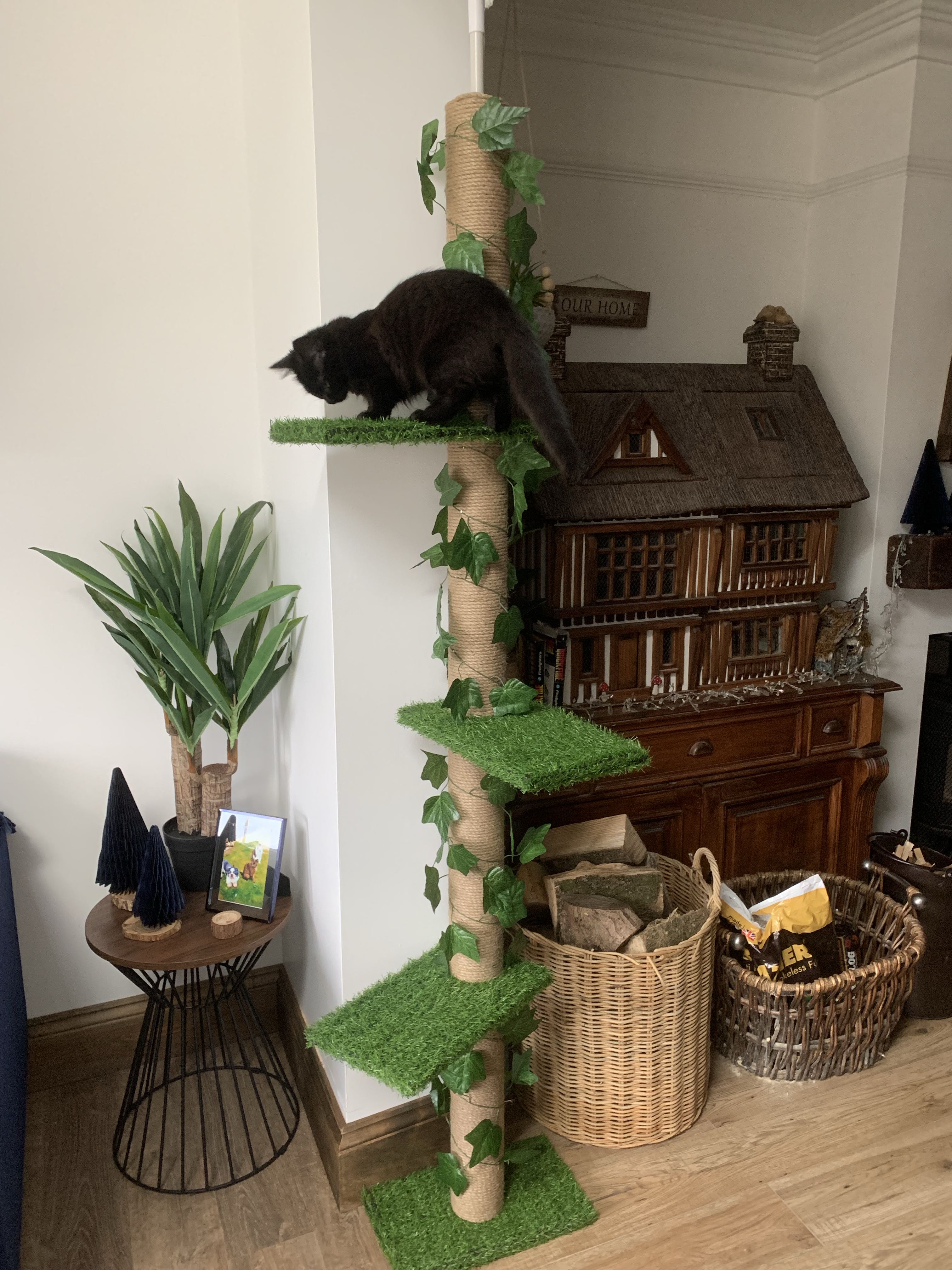 PawHut Árvore para Gatos do Chão ao Teto 37x21x202-242 cm com 4 ...