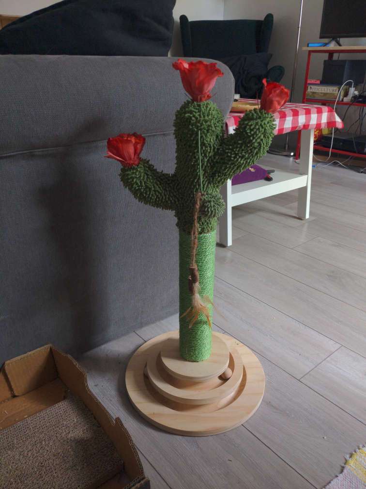 PawHut Arbre à chat griffoir forme de cactus en sisal naturel pompon ...
