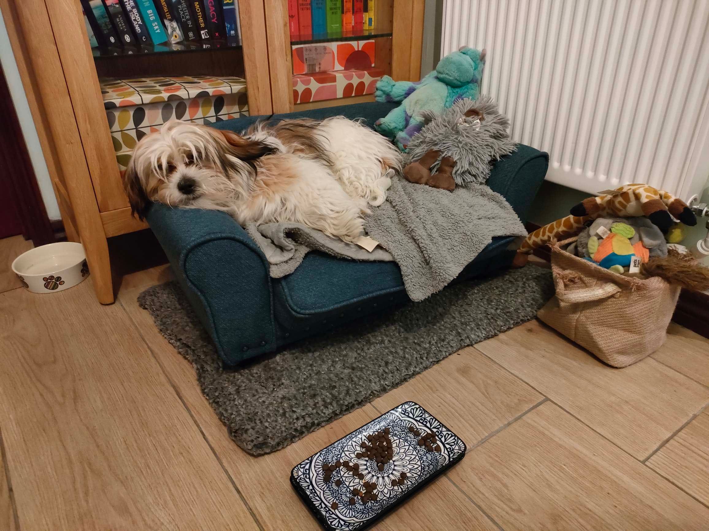 PawHut Dog Sofa for Small Dogs, Pet Chair Couch with Thick Sponge ...