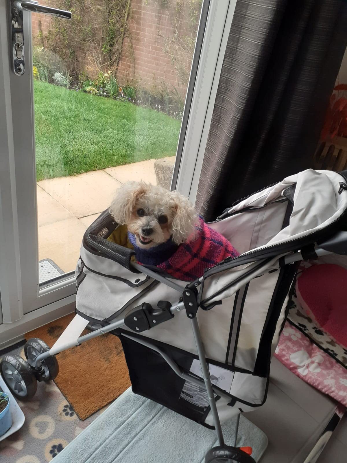 PawHut Dog Pram Pet Stroller Dog Pushchair Trolley Puppy Jogger Folding ...