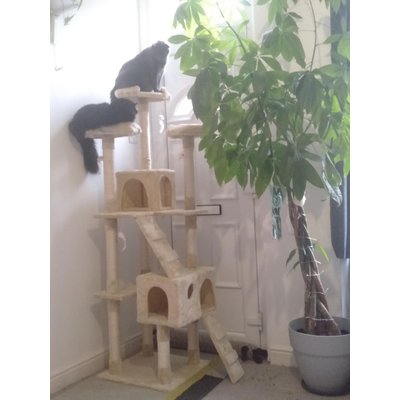 PawHut 170cm Cat Tree Kitten Kitty Scratcher Post Climbing Tower ...