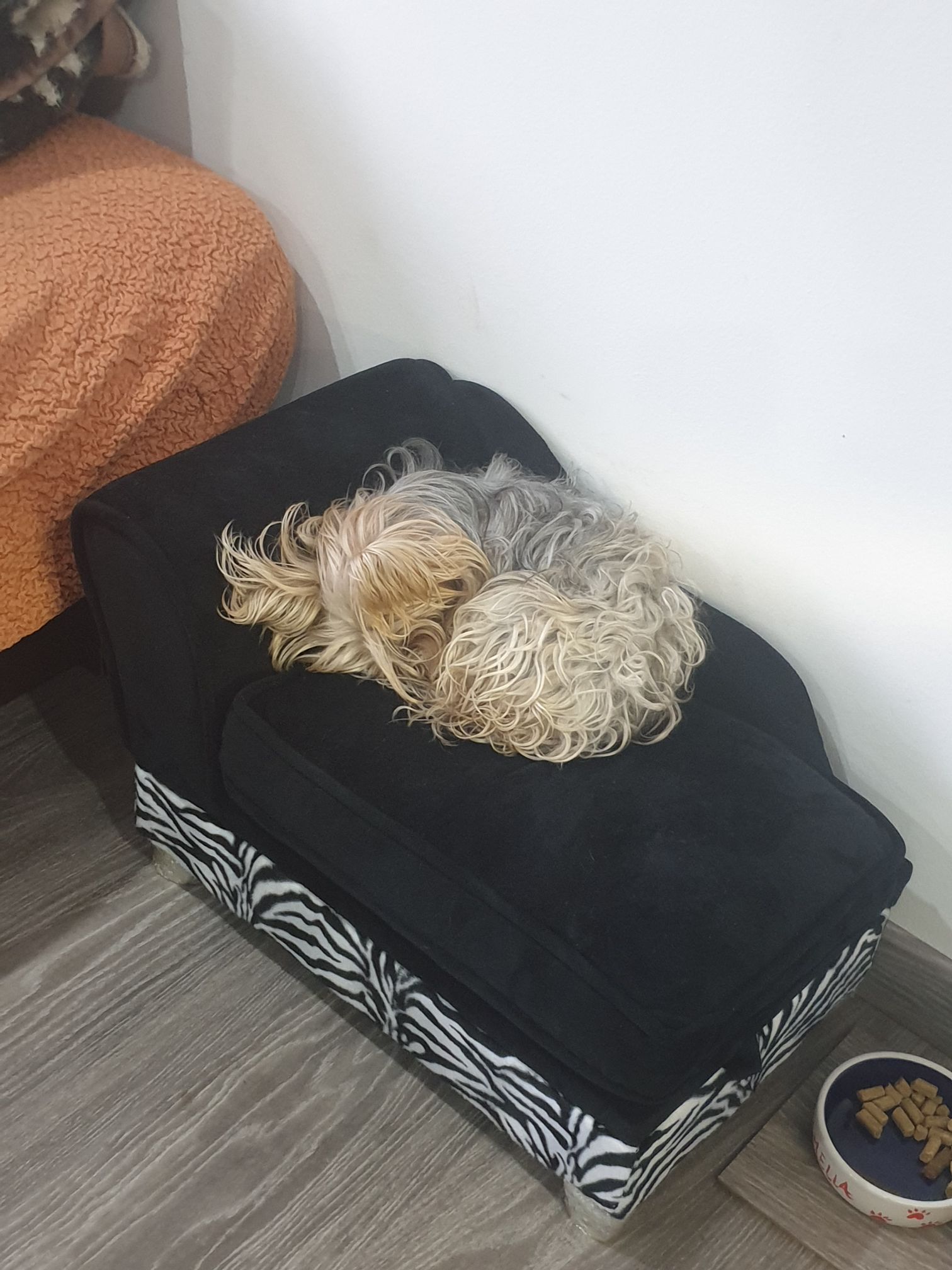 PawHut hondenbank hondenzetel met opbergruimte katten sofa hondenbed ...