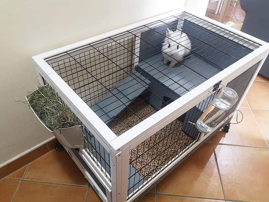 PawHut Kleintierstall mit Rädern Kleintierkäfig Meerschweinchenstall ...