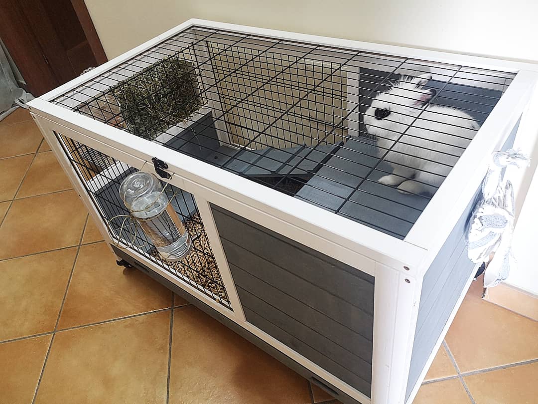 PawHut Rabbits Indoor Fir Wood Lift-Top Hutch Grey | Aosom UK