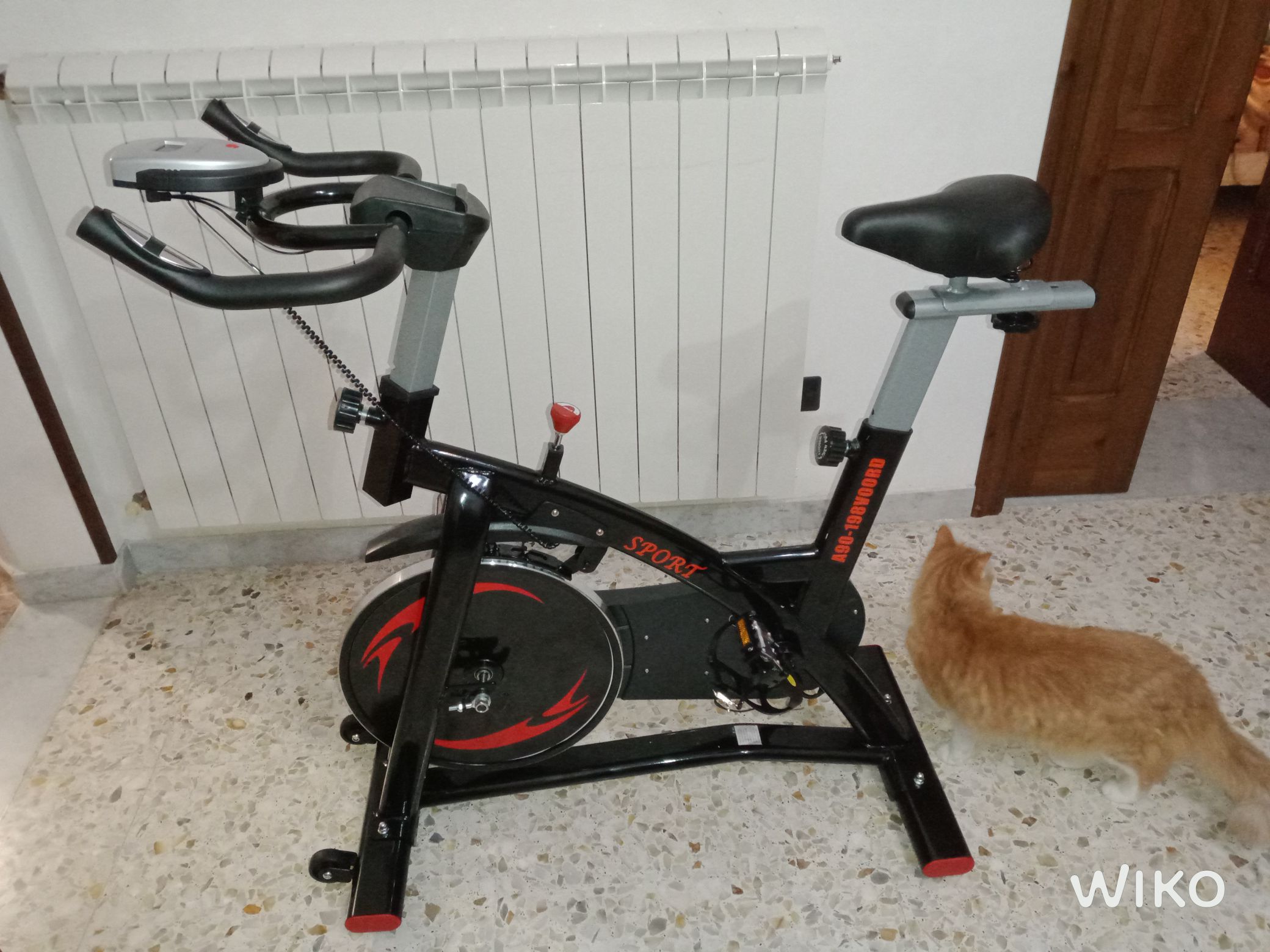 HOMCOM Stationary Exercise Bike, Aerobic Indoor Training, Upright ...