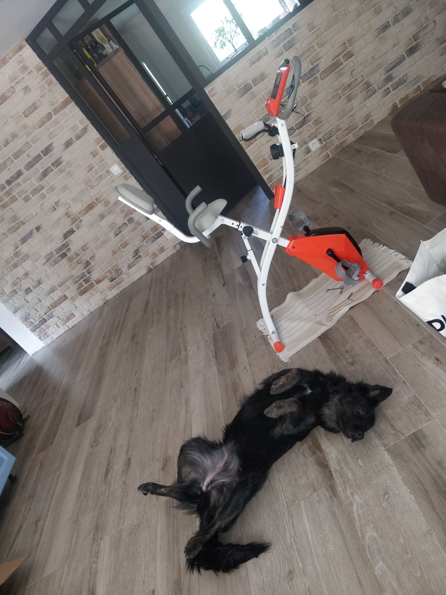 HOMCOM 2-in-1 Upright Exercise Bike Stationary Foldable Magnetic ...