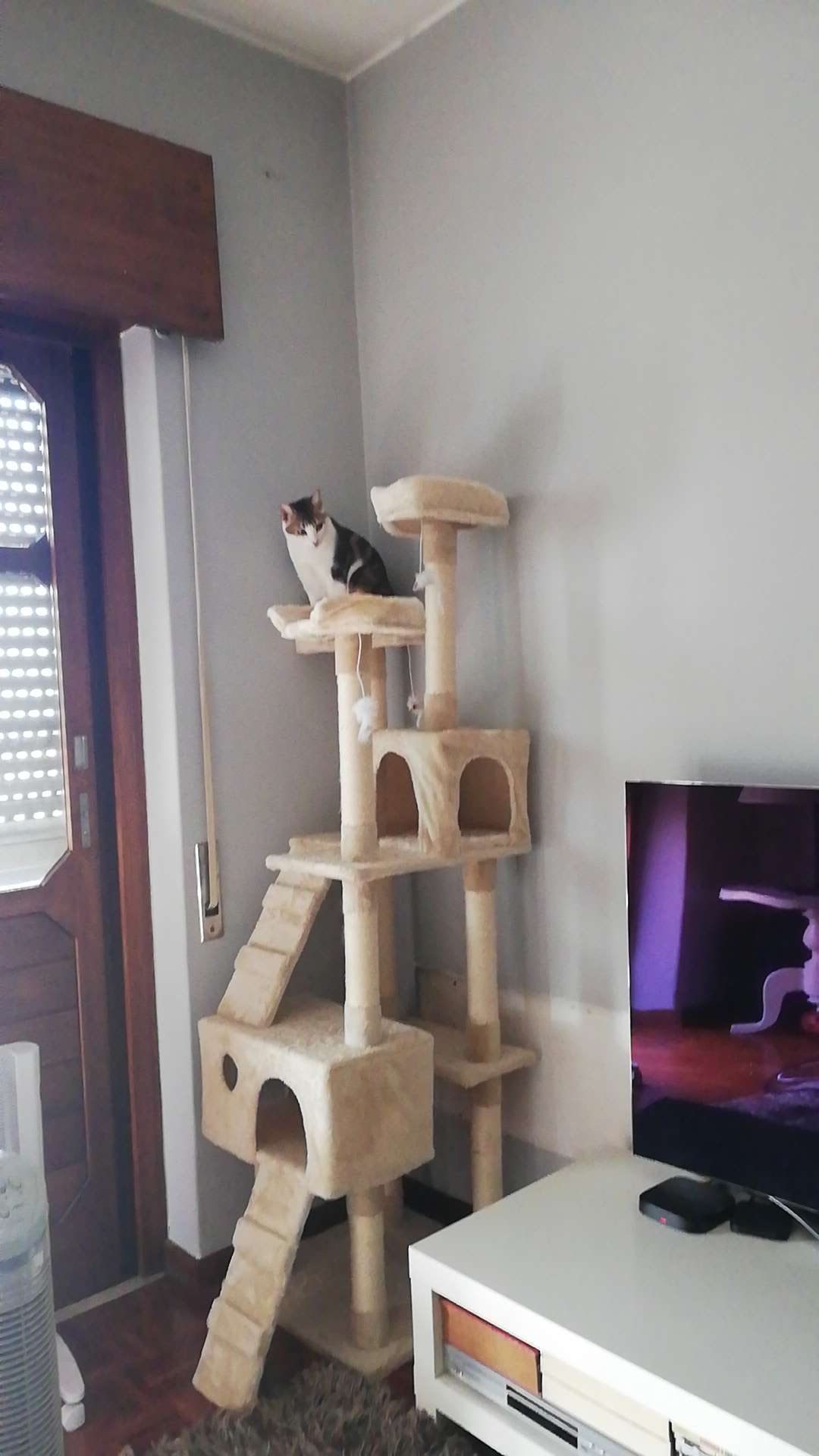 PawHut 170cm Cat Tree Kitten Kitty Scratcher Post Climbing Tower ...