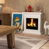 HOMCOM Gel and Ethanol Fireplace Stove, Modern Bioethanol Fire, Indoor ...