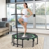 HOMCOM 48" Octagonal Mini Fitness Rebounder Trampoline Indoor Outdoor ...